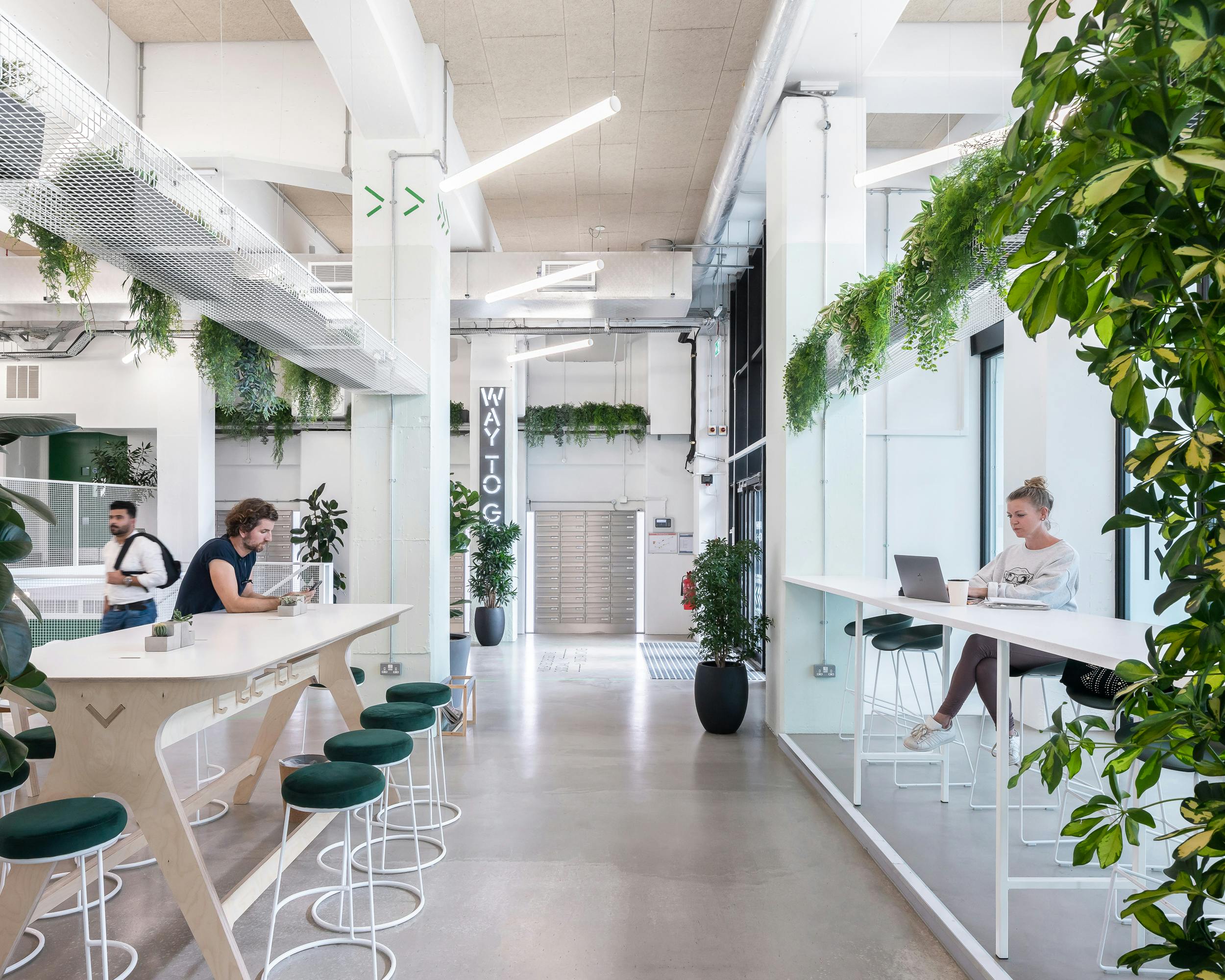 General Projects - Expressway